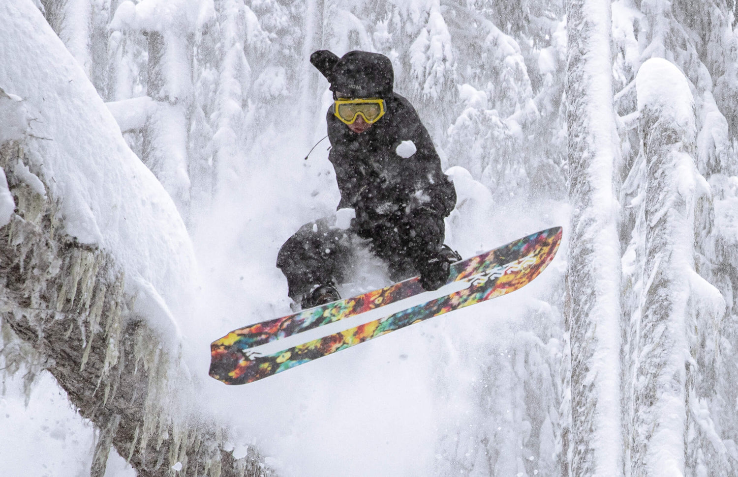 Ski and Snowboard specialist retailer, Workshop, Boot fitter, Physio ...